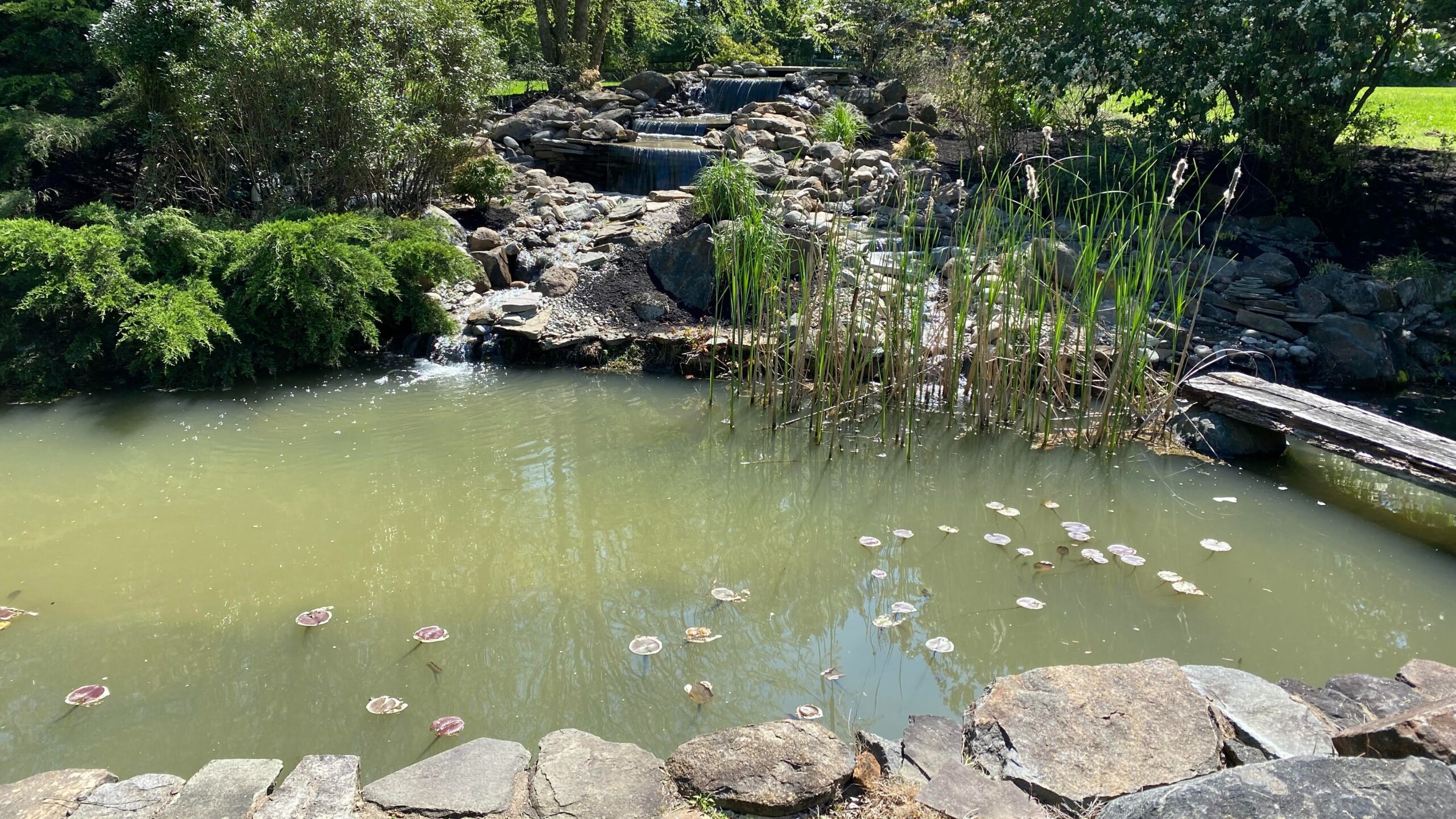 3 Crucial Considerations for Installing a Pond on Your Property ...